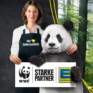 Orangen-Rezepte: fruchtige Kochideen | EDEKA