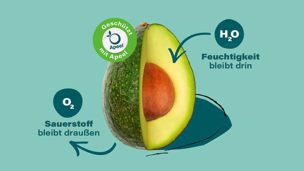 Avocado-Rezepte: warme & kalte Gerichte | EDEKA