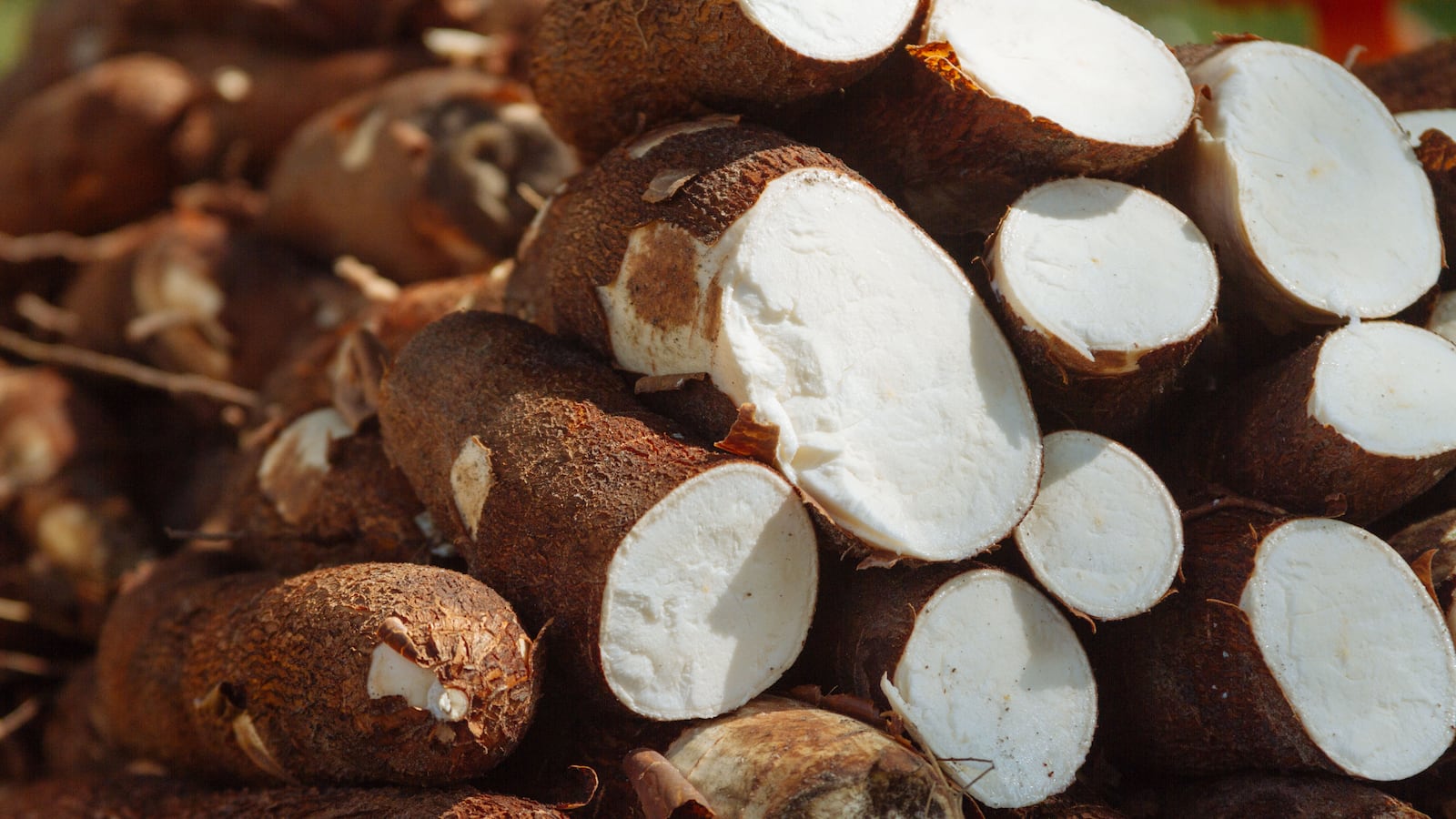 Maniok: leckere und vielseitige Wurzelknolle | EDEKA