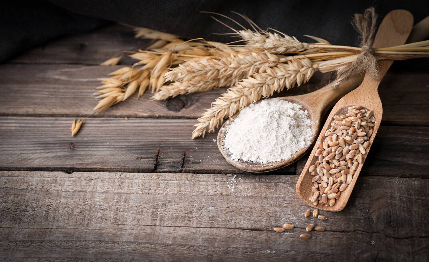 Griffiges Mehl: Definition und Verwendung | EDEKA