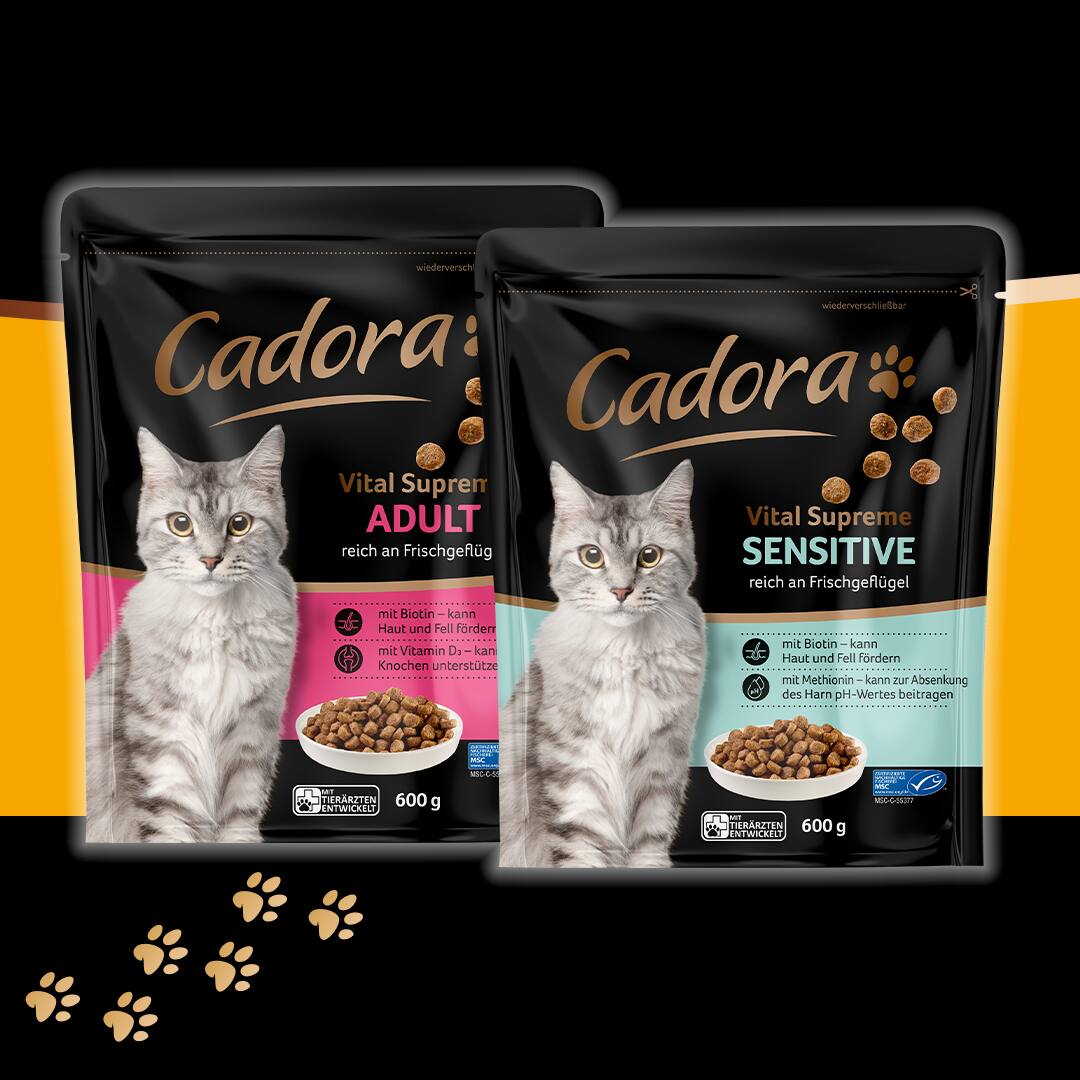 Cadora – Große Vielfalt für große und kleine Feinschmecker! | EDEKA