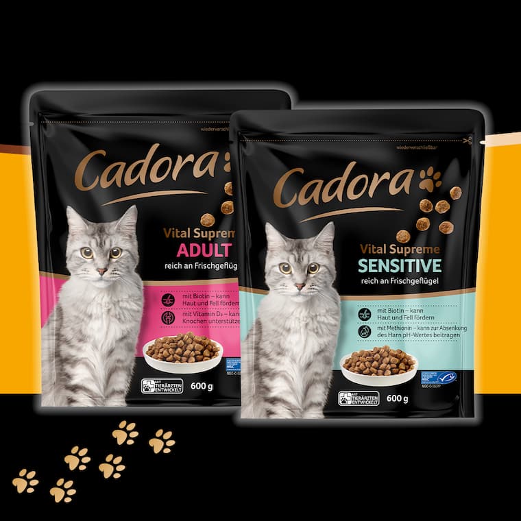 Cadora – Große Vielfalt für große und kleine Feinschmecker! | EDEKA