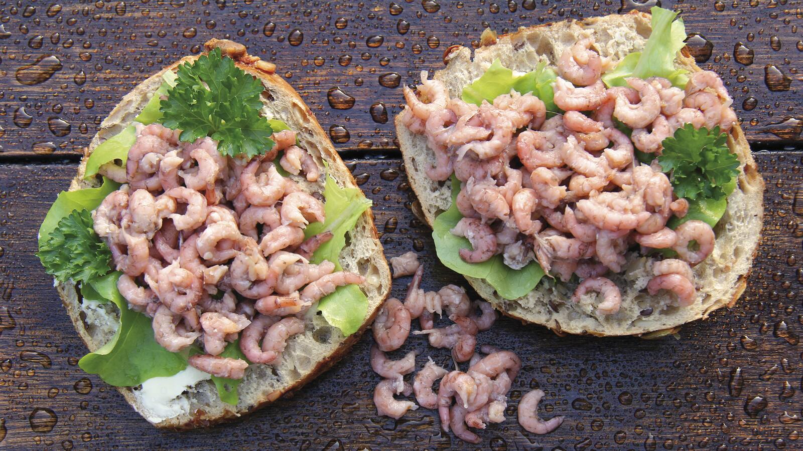 Krustentiere: Krabben, Hummer & Krebse | EDEKA