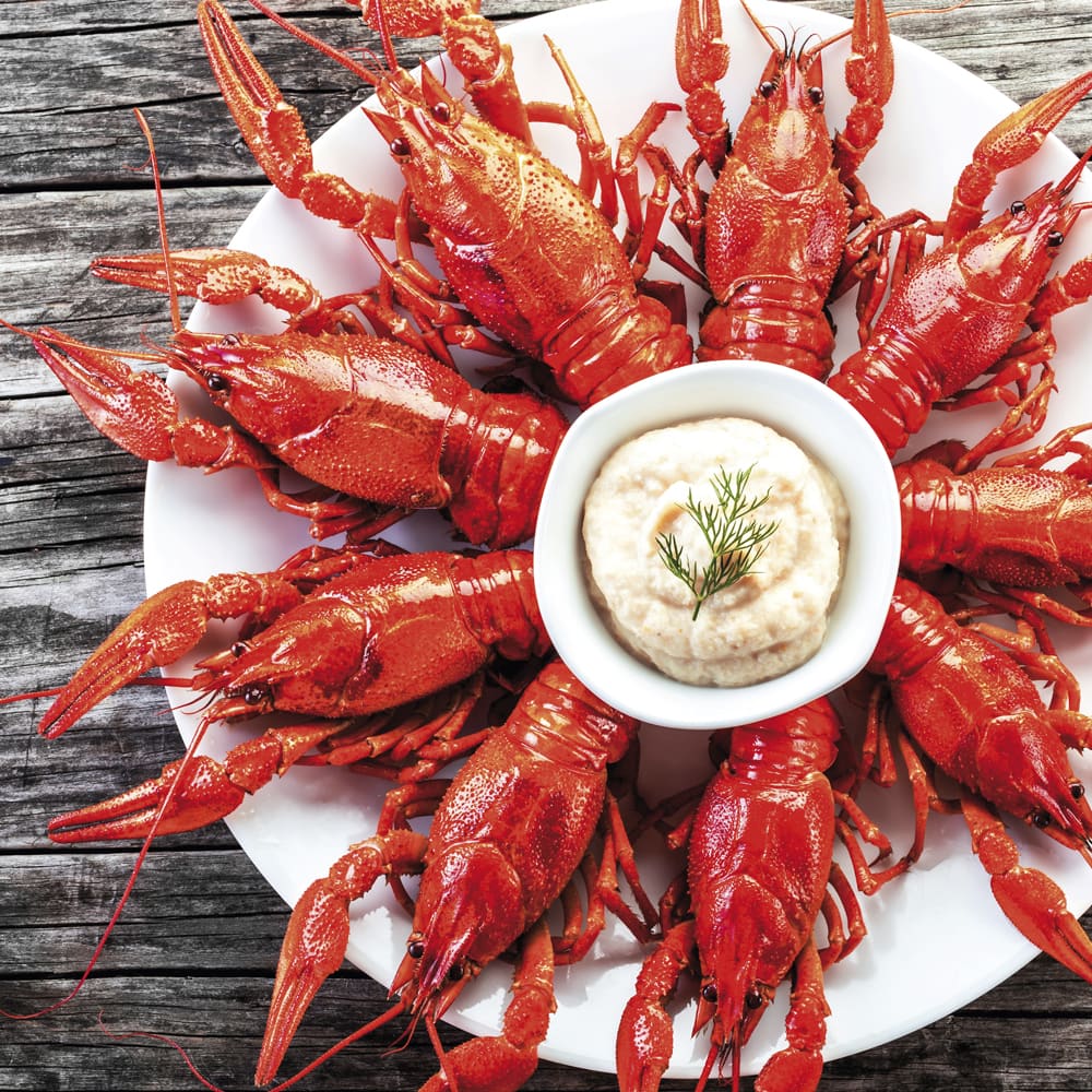 Krustentiere: Krabben, Hummer & Krebse | EDEKA
