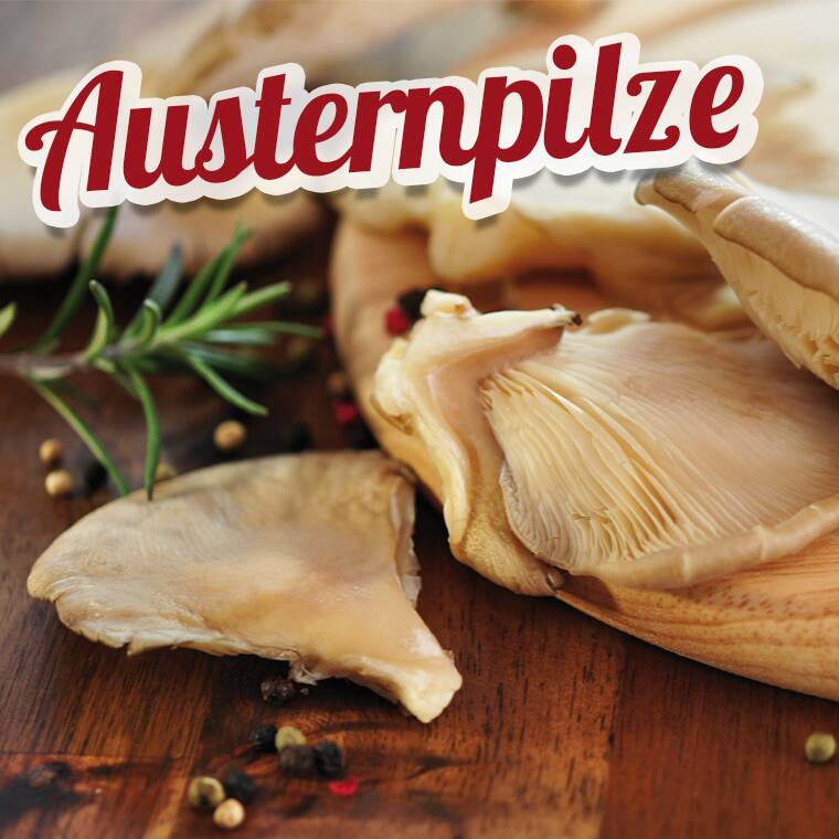 Saisongemüse Januar: Pilz-Edition | EDEKA