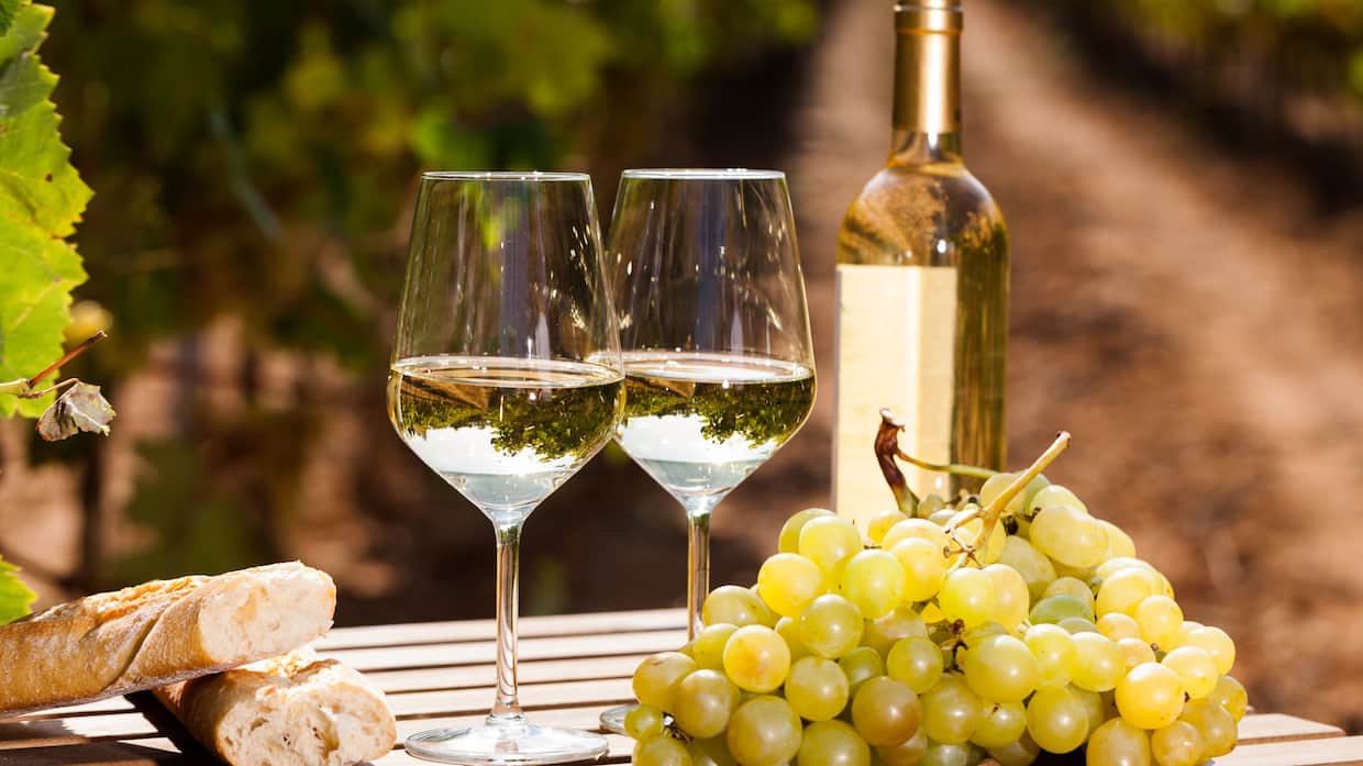 Das EDEKA Wein-ABC für Genießer