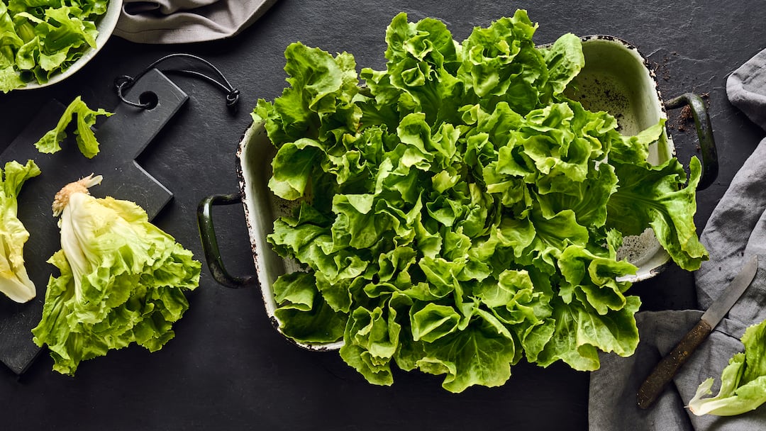 EDEKA Saisonkalender September