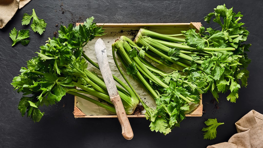 Stangensellerie | EDEKA