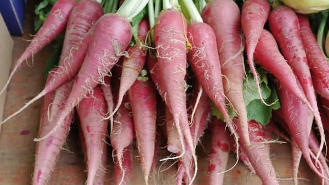 Rote Rettiche | EDEKA