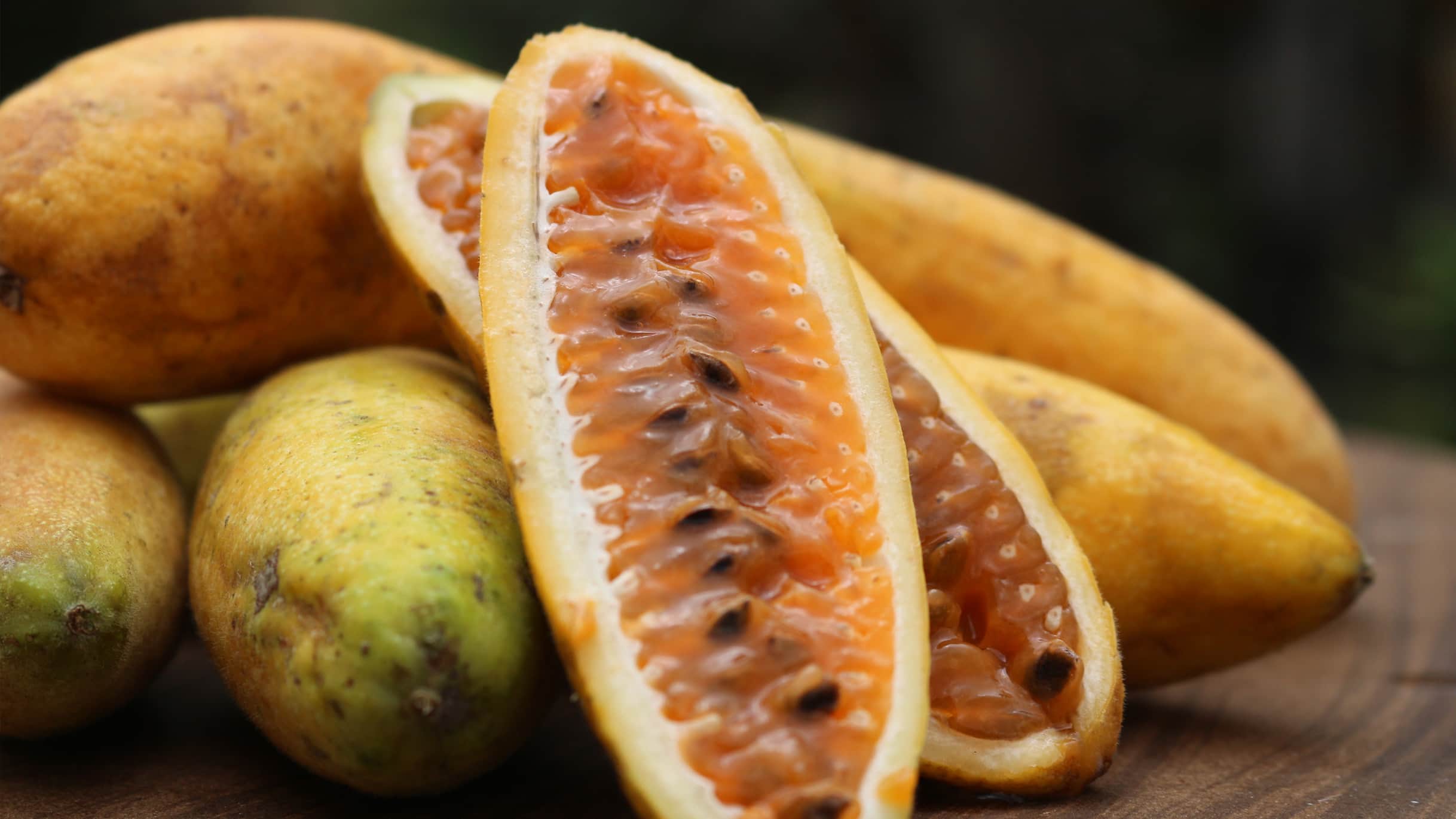 Imagens De Curuba Na Pele - RETOEDU