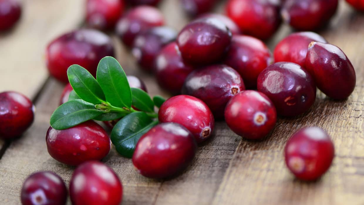 Preiselbeeren | EDEKA