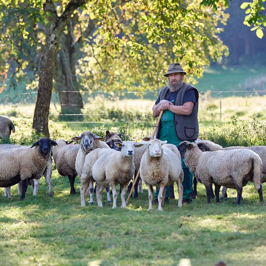 Lamm-Fleisch | EDEKA