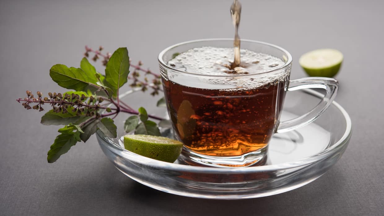Tulsi: Tee vom indischen Basilikum | EDEKA