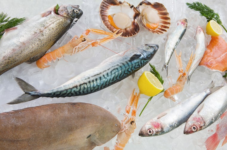 Speisefische: Genuss aus dem Wasser | EDEKA