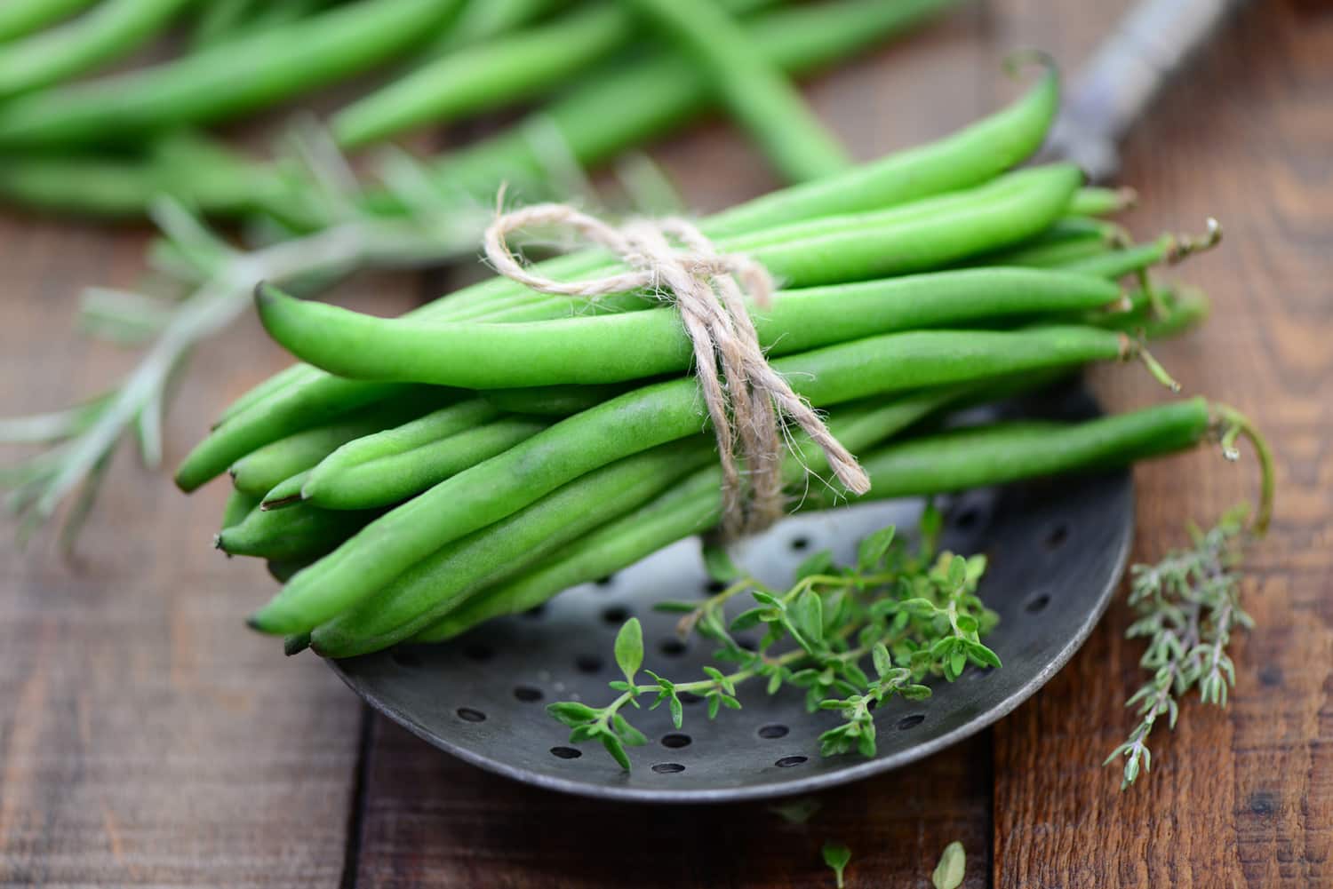 Bohnen-Sorten: Hülsenfrüchte im Überblick | EDEKA