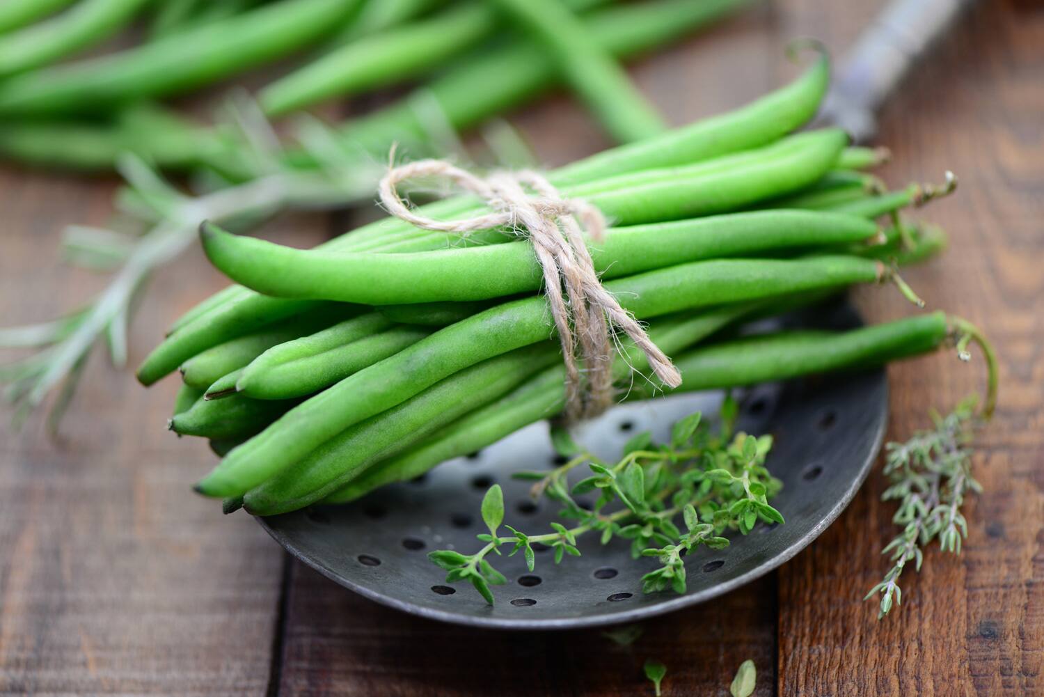 Bohnen-Sorten: Hülsenfrüchte im Überblick | EDEKA