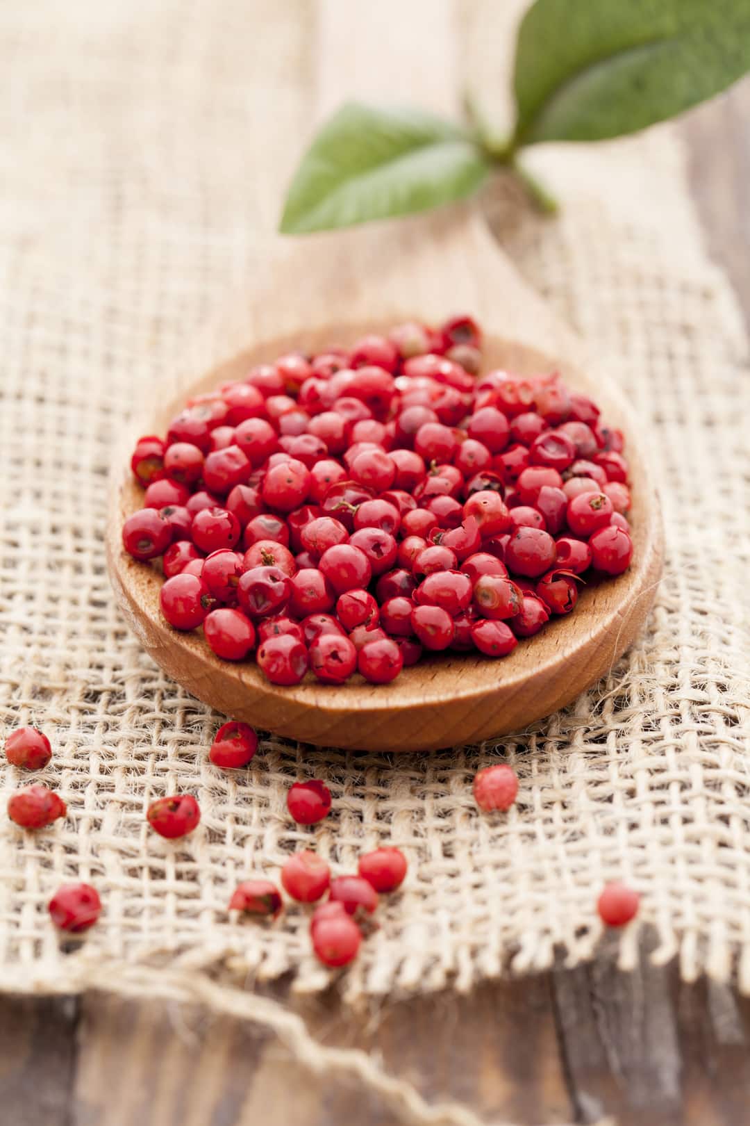 Pfeffer: gesunder Scharfmacher | EDEKA