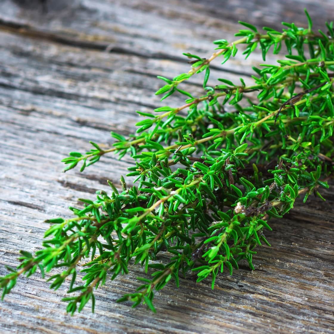 Basischer Tee: Mittel gegen Übersäuerung? | EDEKA