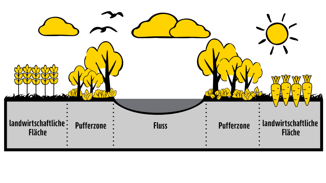 Verantwortungsvoller Umgang mit der Ressource Wasser | EDEKA
