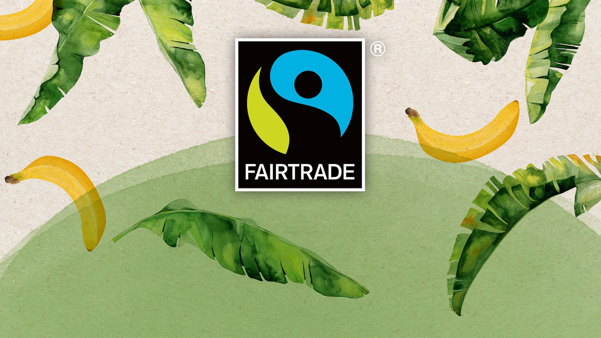 Fairtrade-Siegel für Bananen, Kaffee & Co. | EDEKA