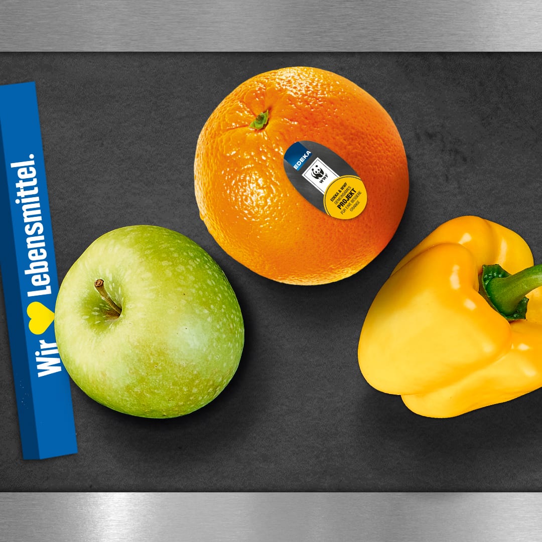 Nachhaltig leben – so gelingt es Ihnen im Alltag | EDEKA