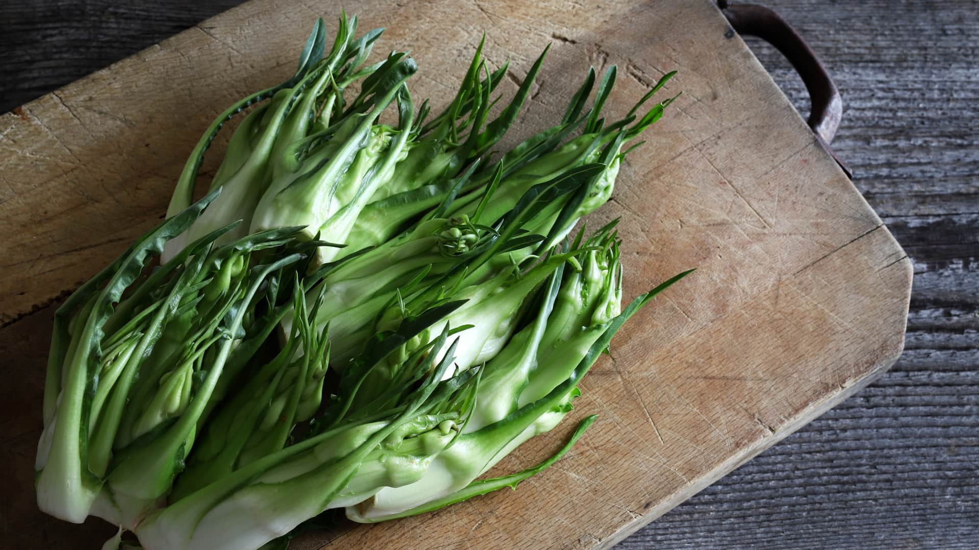 Puntarelle | EDEKA