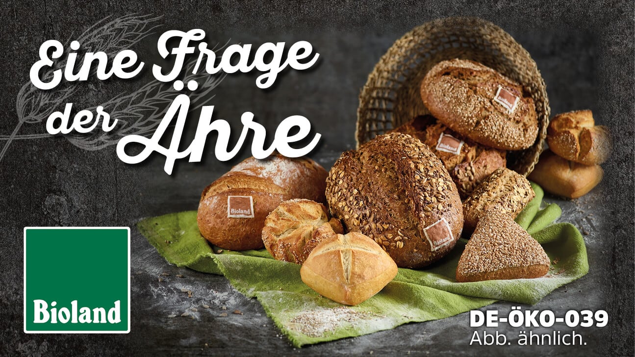 Abteilungen des EDEKA center in Stern-Center