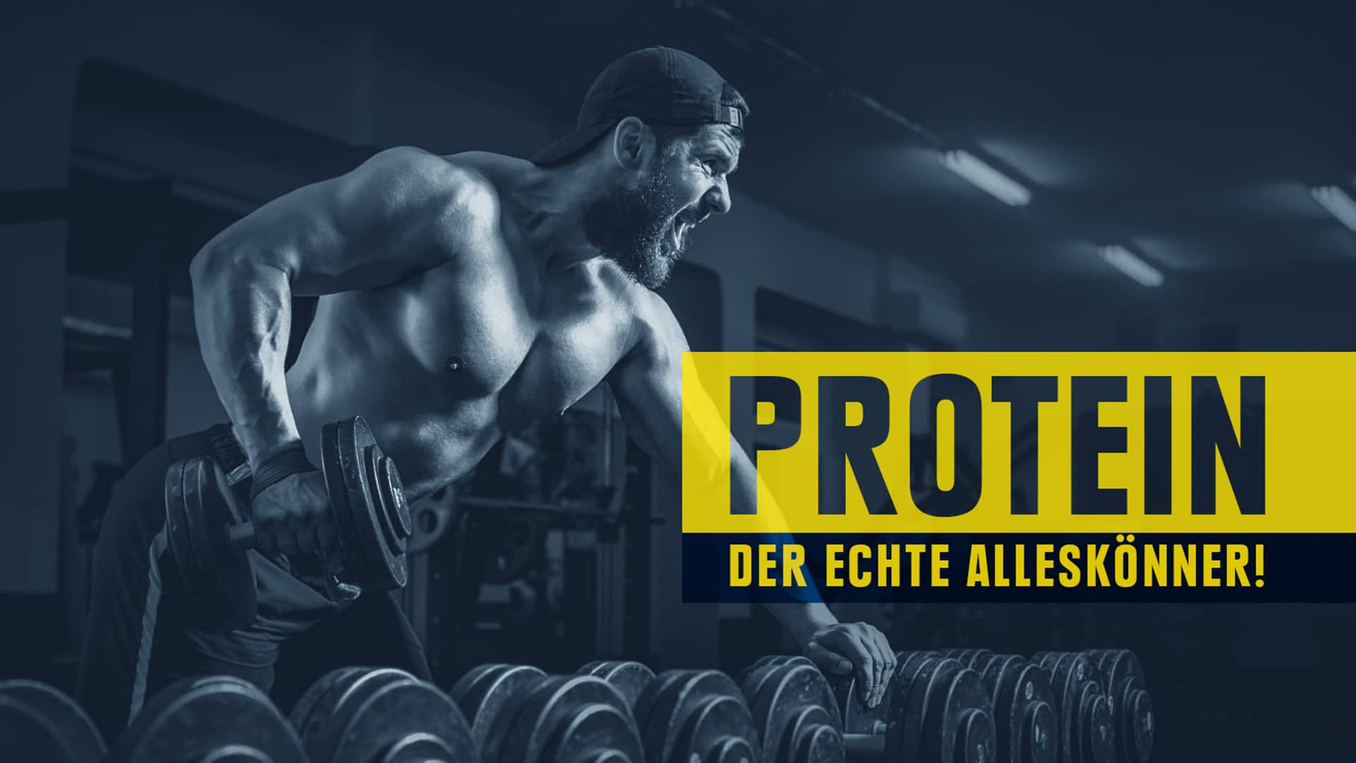 Protein – der echte Alleskönner! | EDEKA