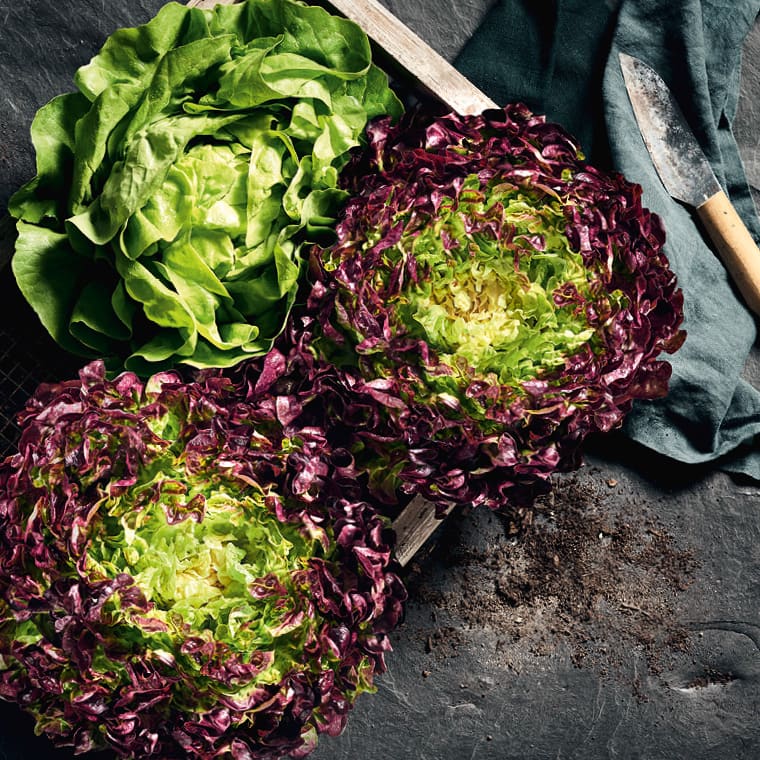 Frisch aus unserer Region! | EDEKA