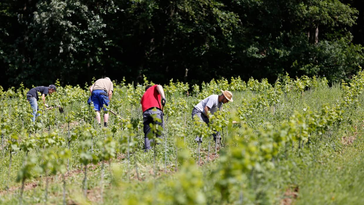 Unser Regionalitätskonzept | EDEKA
